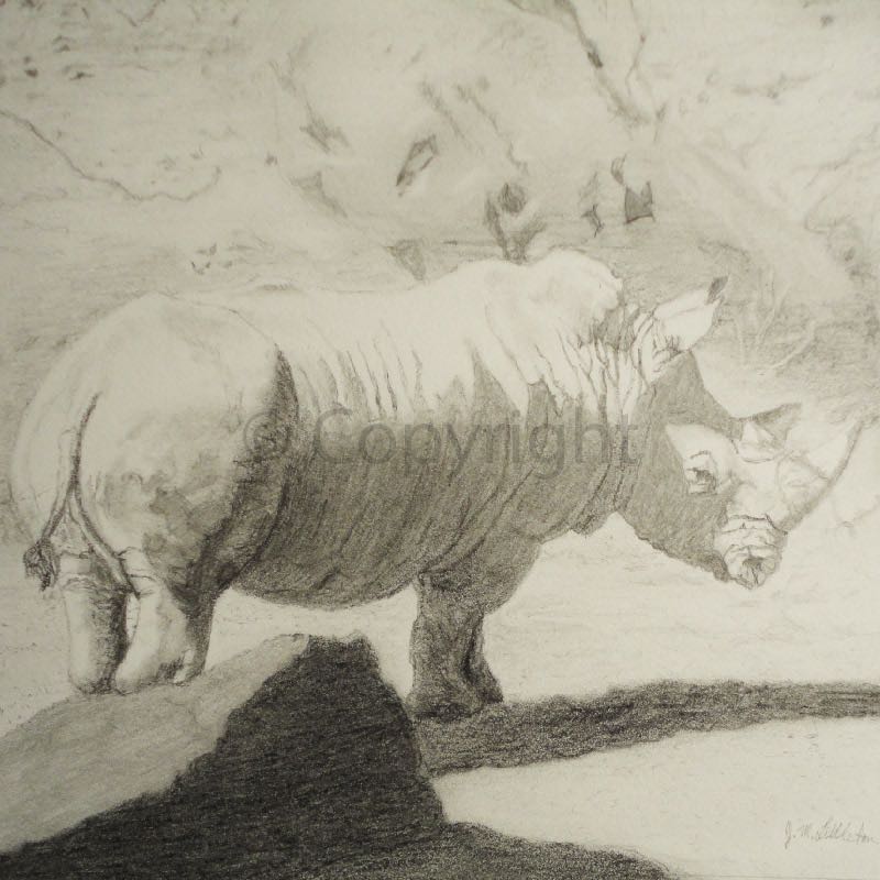 Graphite Drawings by Jennifer Littleton | Littleton School Of Art